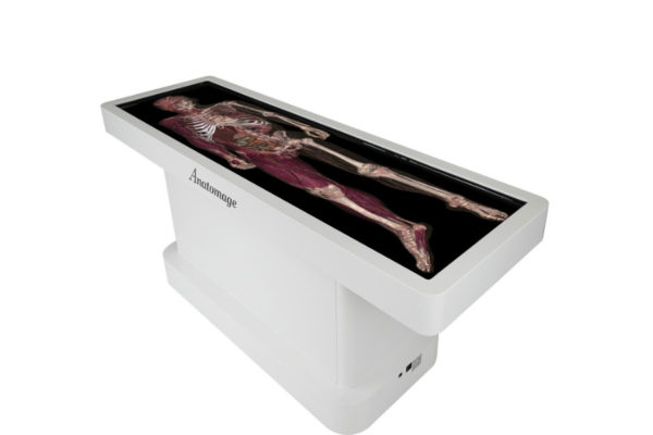 Anatomage Medical Archives - Anatomage