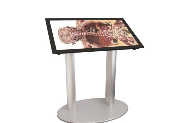 Anatomage Medical Archives - Anatomage