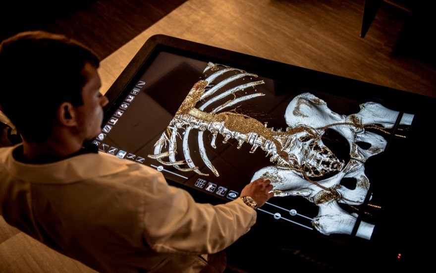 3D Anatomy Technology Enables Surgical Planning In Simulation Labs