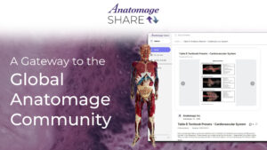 Anatomage Share | A Gateway To Global Anatomage Community
