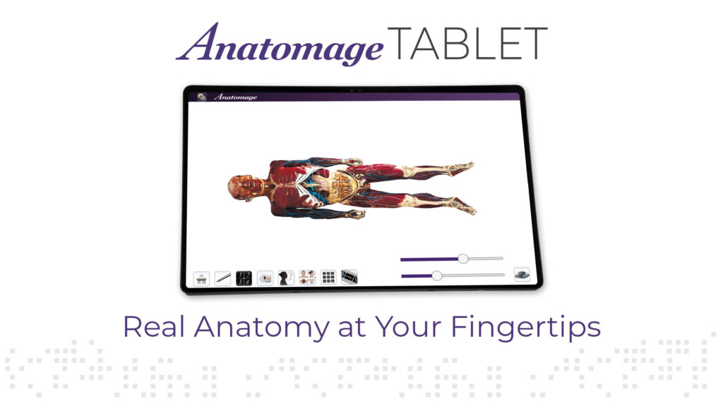Anatomage Tablet: Real Anatomy At Your Fingertips