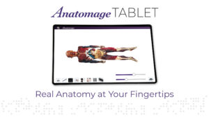 Anatomage Tablet: Real Anatomy At Your Fingertips