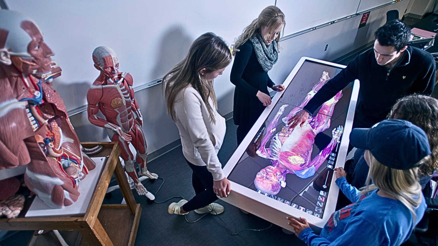 Anatomage Lessons | On-Demand Anatomy Learning