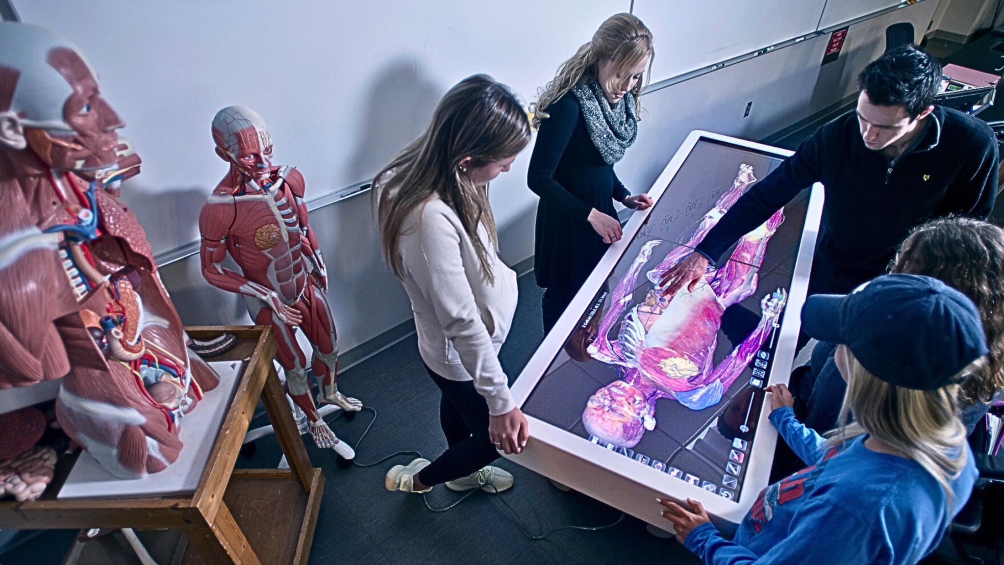 Anatomage Table 12 | 3D Interactive Medical Education