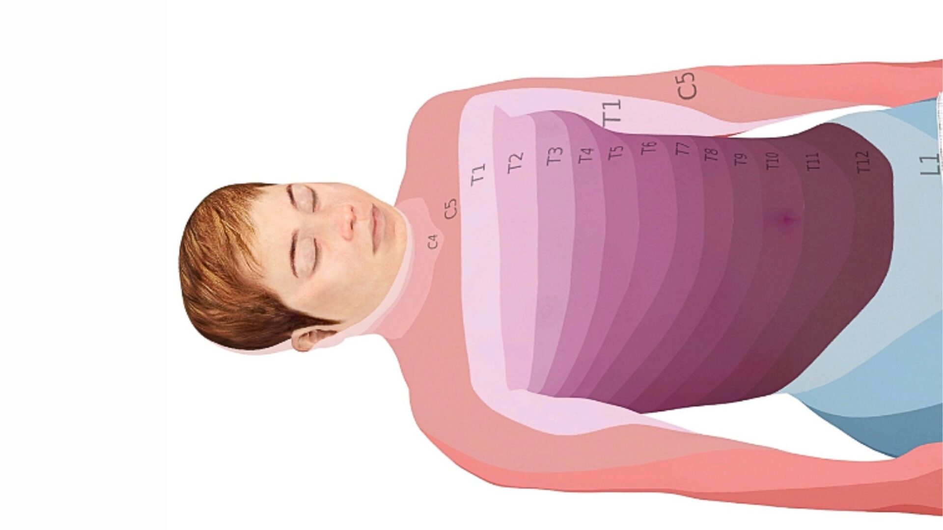 About Us - Anatomage