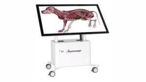 About Us - Anatomage