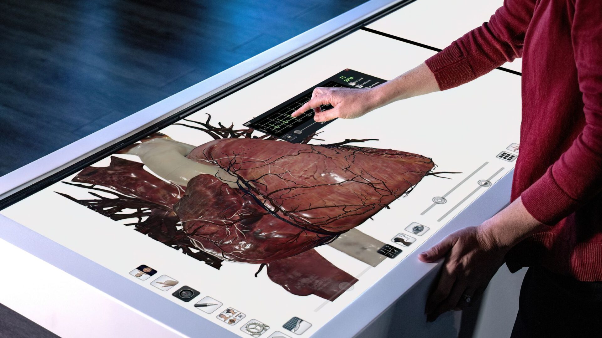 Surgical Training - Anatomage