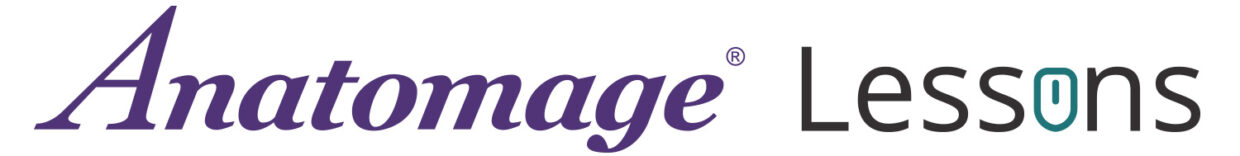Anatomage Lessons | On-Demand Anatomy Learning