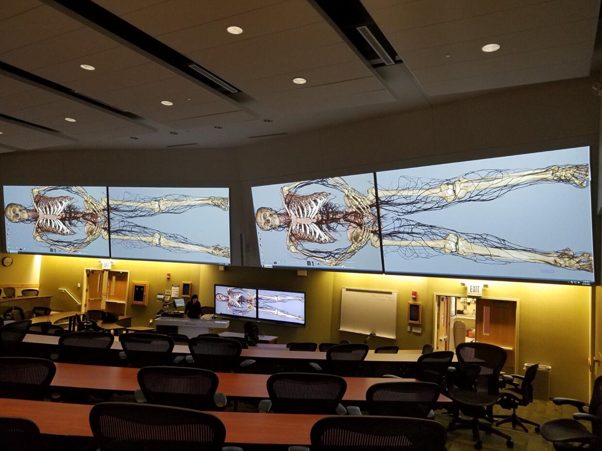 Cadaver Lab - Anatomage