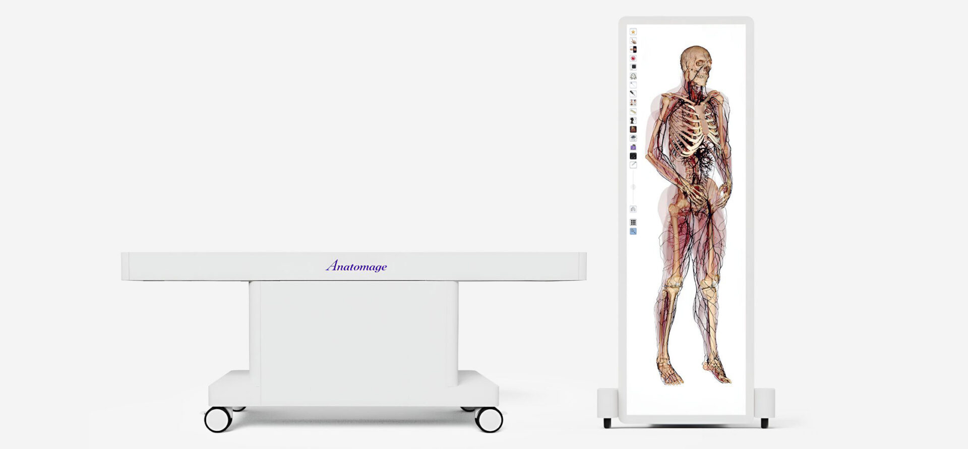 Surgical Training - Anatomage