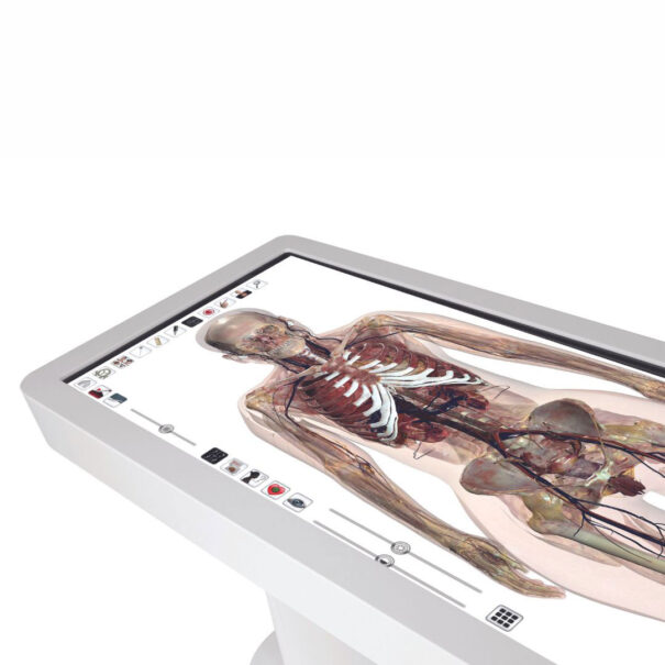 Anatomage | Anatomy Educational Tool for High Schools