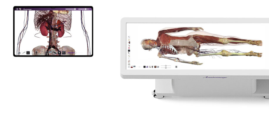Future of Classroom - Anatomage