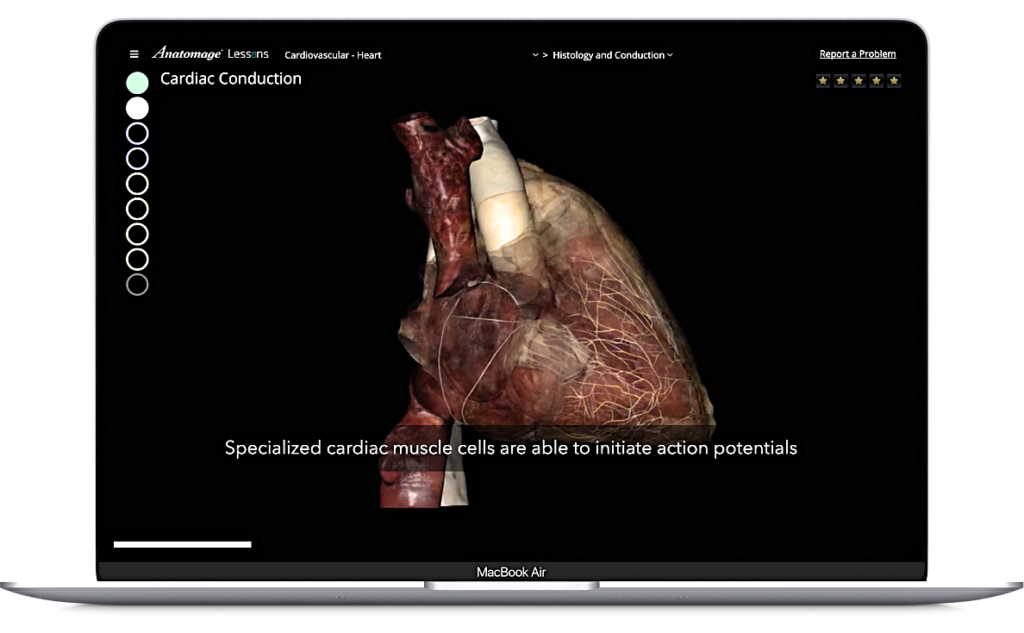 Anatomage | Anatomy Educational Tool for High Schools