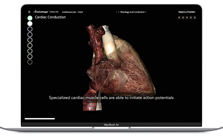 Anatomage | Anatomy Educational Tool for High Schools