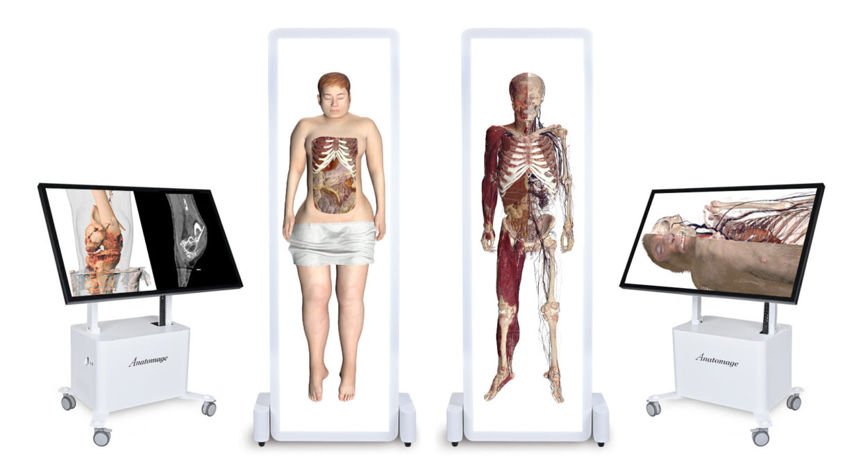 Anatomage, Inc | Digital Anatomy and Physiology Learning Tool