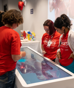 Future of Classroom - Anatomage