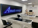 Cadaver Lab - Anatomage