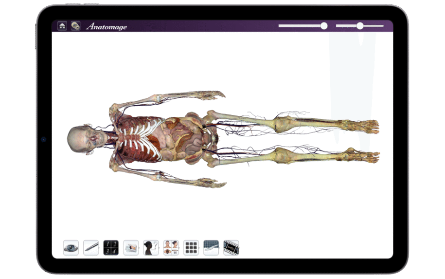 Anatomage | Anatomy Educational Tool for High Schools