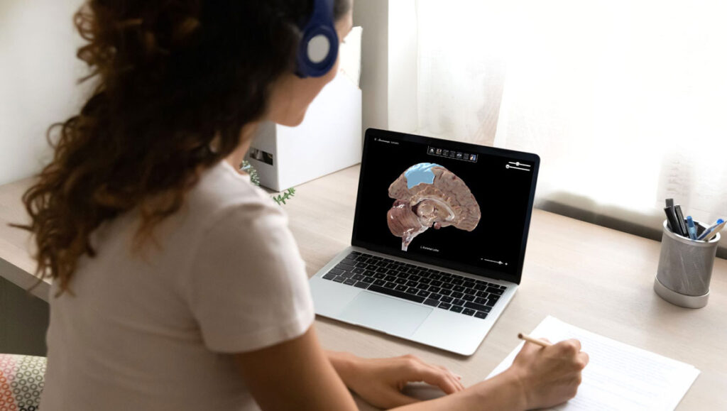 Anatomage Lessons | On-Demand Anatomy Learning