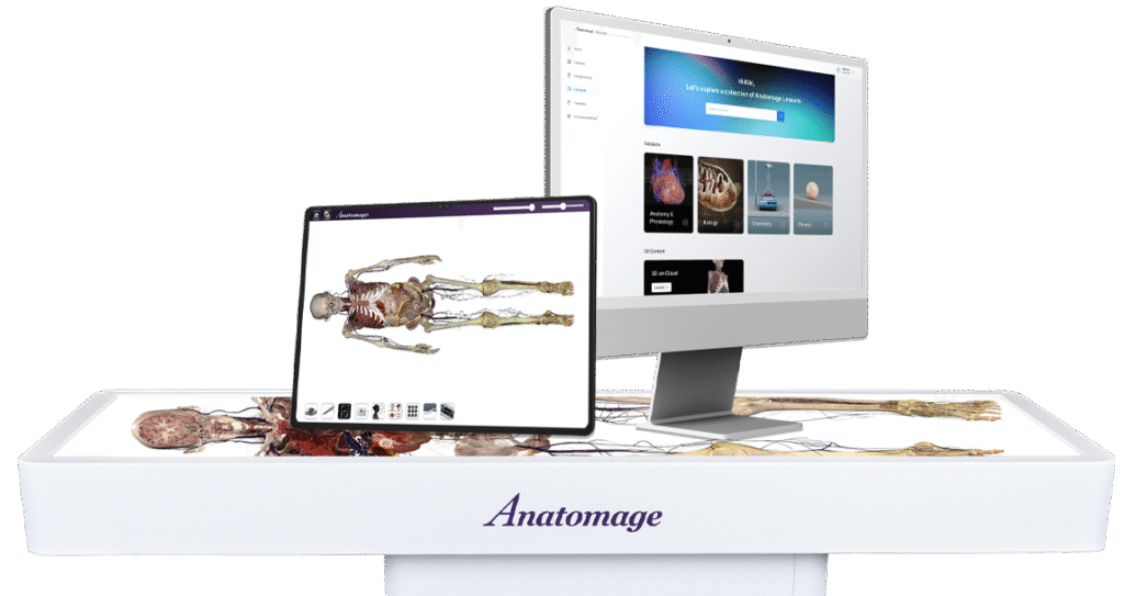 Anatomage Lessons | On-Demand Anatomy Learning