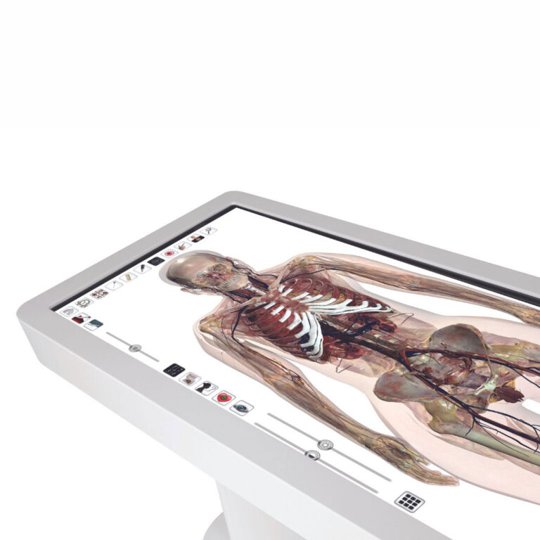 Anatomage | Anatomy Educational Tool for High Schools