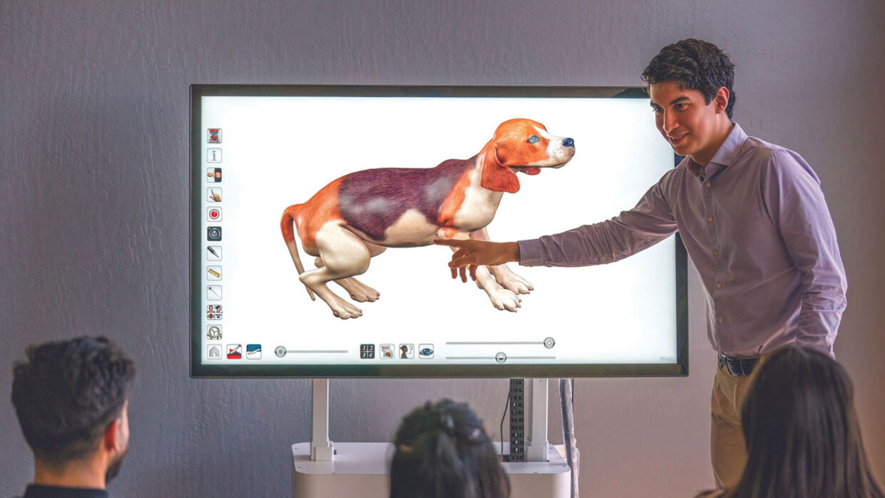 Anatomage Table Vet | Digitized Animal Cadavers for Dissection