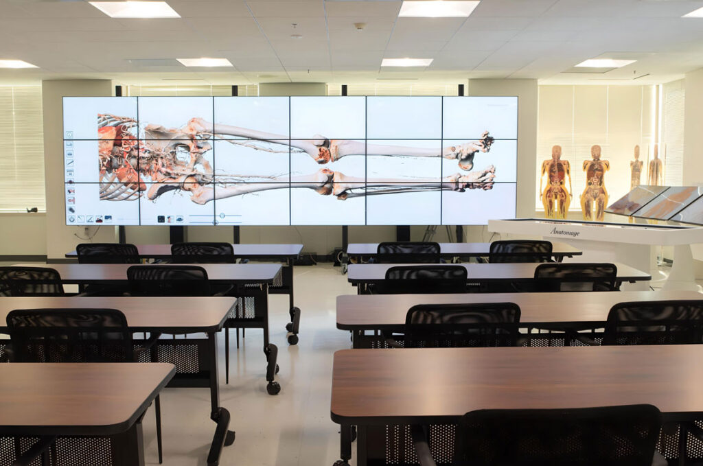 Anatomage | Anatomy Learning for Undergraduate Healthcare