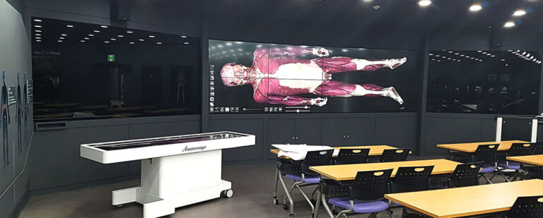 Anatomage | Ready-to-Use Cadavers for Medical Schools