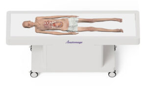 Anatomage Products | Digitized Real Human Cadavers