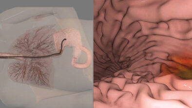 Anatomage Table 12 | 3D Interactive Medical Education