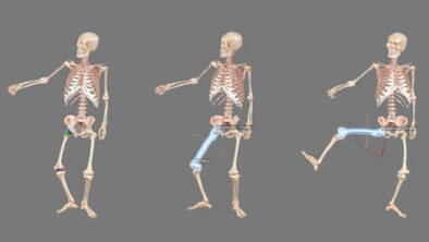 Anatomage Table 12 | 3D Interactive Medical Education