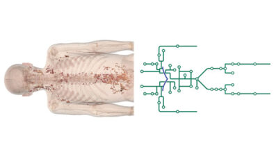 Anatomage Table 12 | 3D Interactive Medical Education